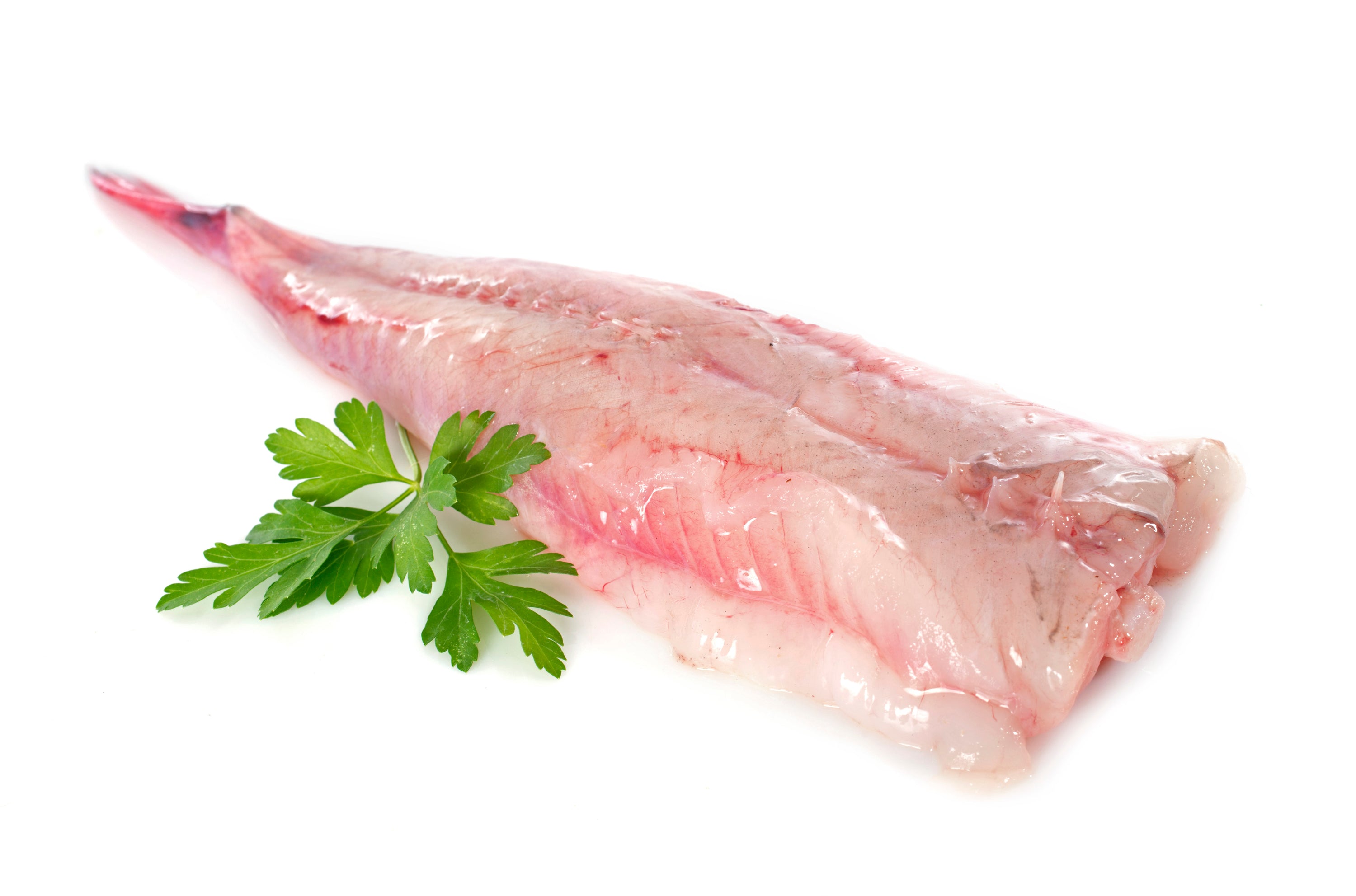 How to prepare grilled monkfish – Campo Grande