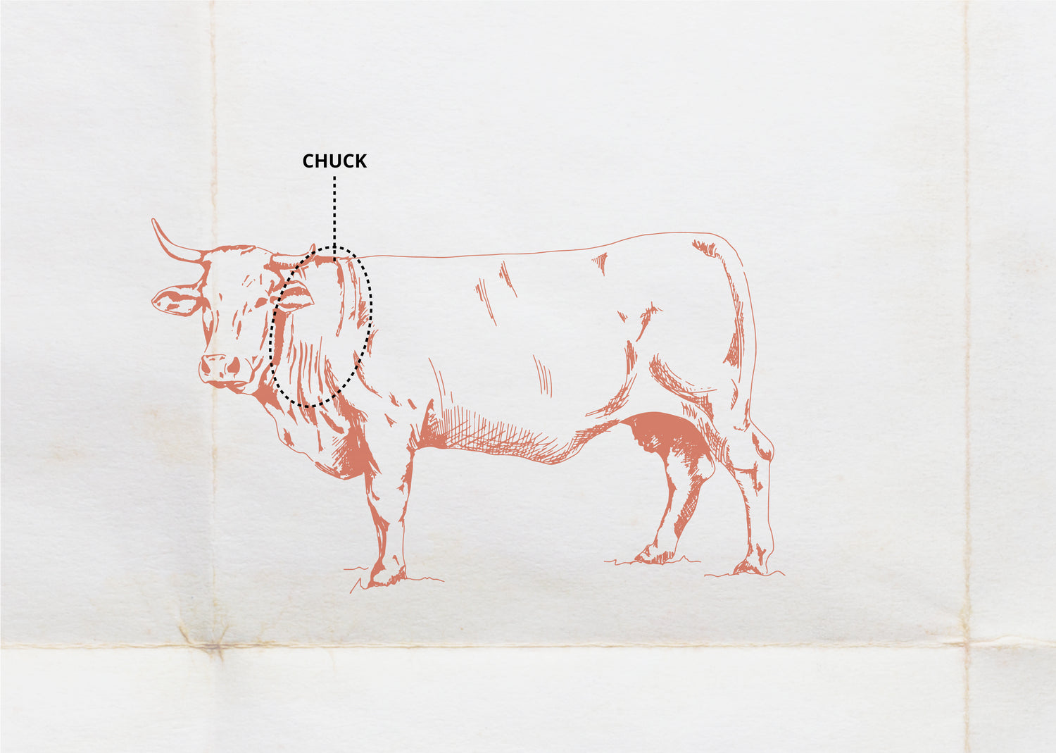 How To Cook Boneless Beef Cross Rib Steak – Campo Grande