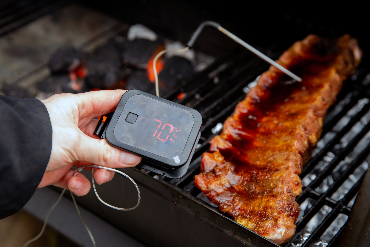 What is the Perfect Temperature to Cook Pork Ribs? – Campo Grande