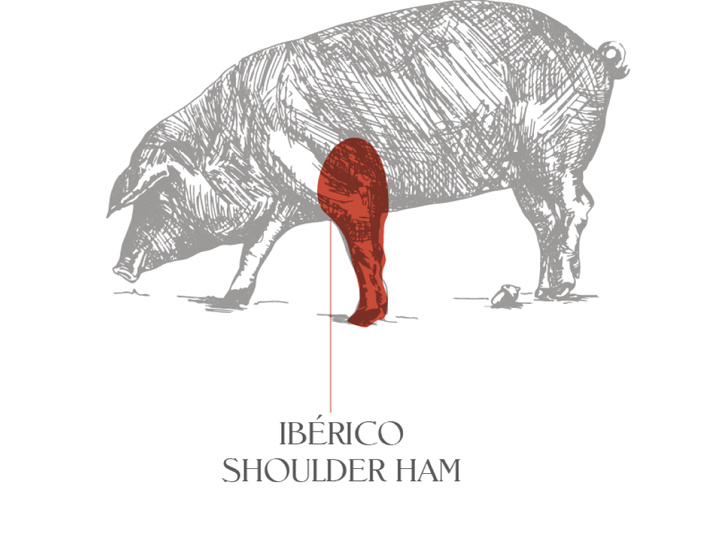 8" Thick Vaca Vieja Prime Rib Chuletón – Campo Grande